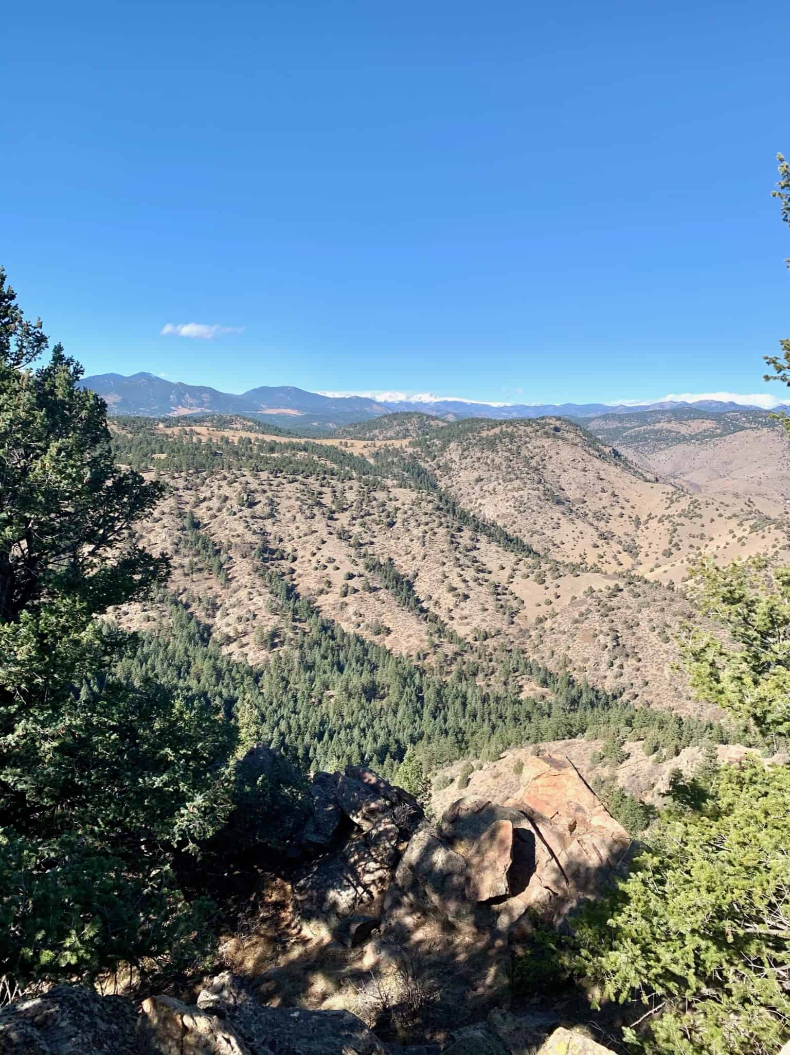 [Hike] Mount Falcon – a girl can tri