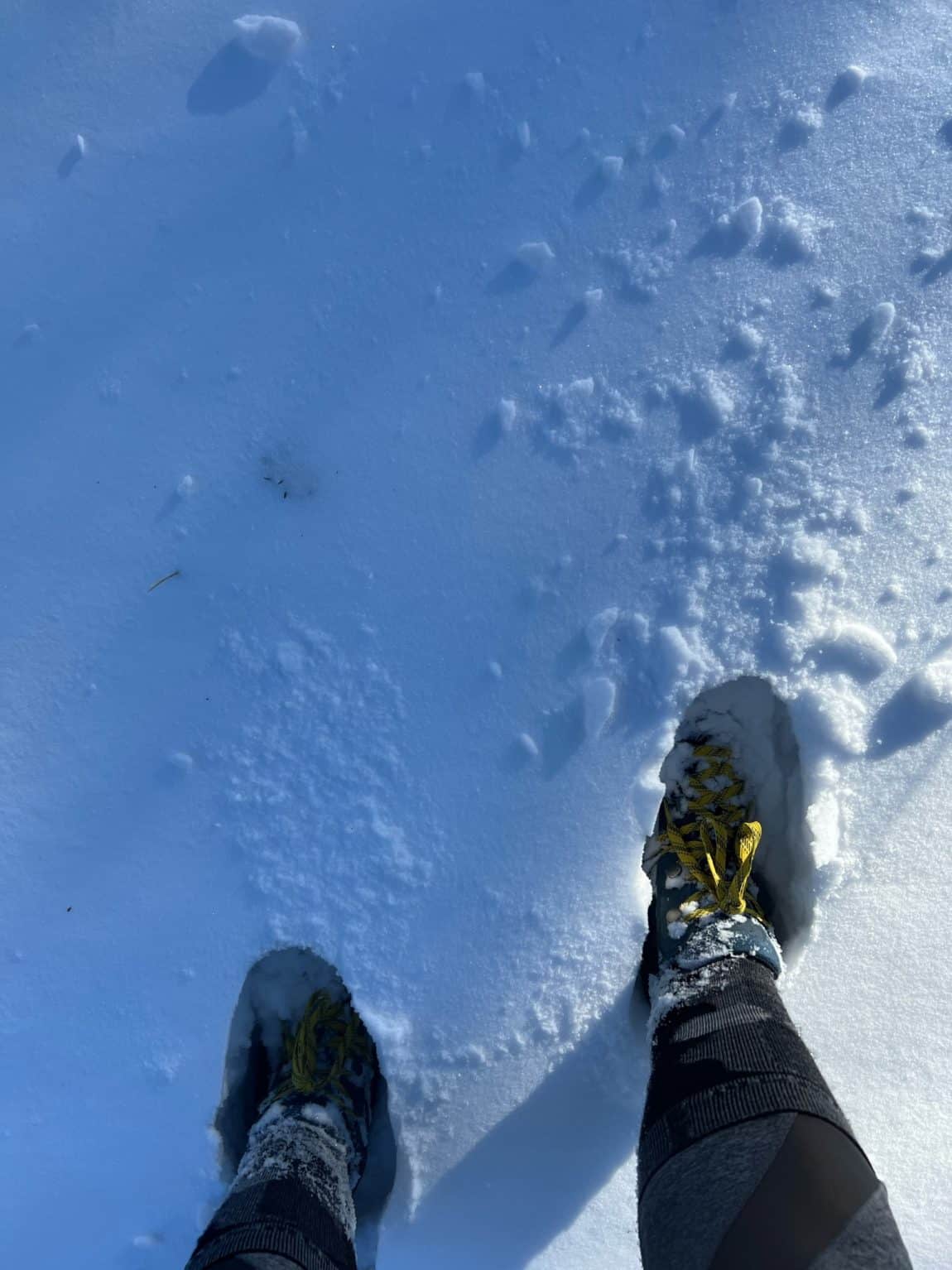 [Hike] Genesee Mountain Trail – a girl can tri