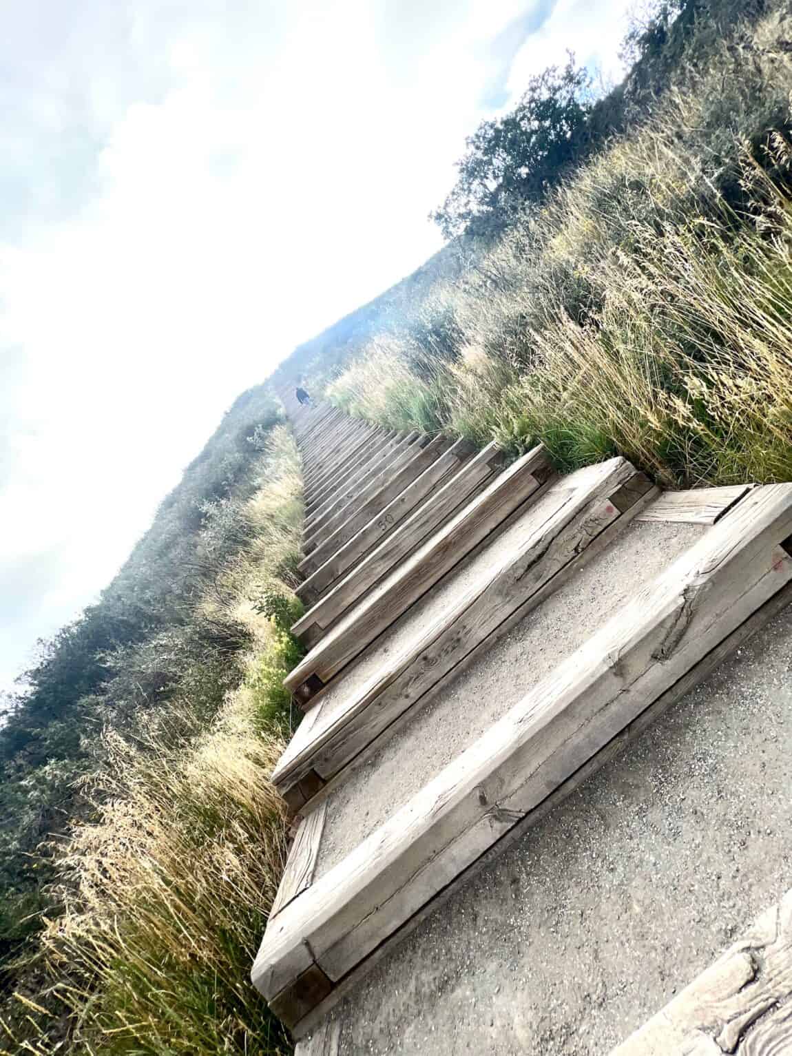 [Hike] Castle Rock Incline at Phillip S Miller Park – a girl can tri